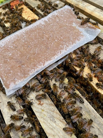 Bees & Beekeeping – Rainy Day Bees